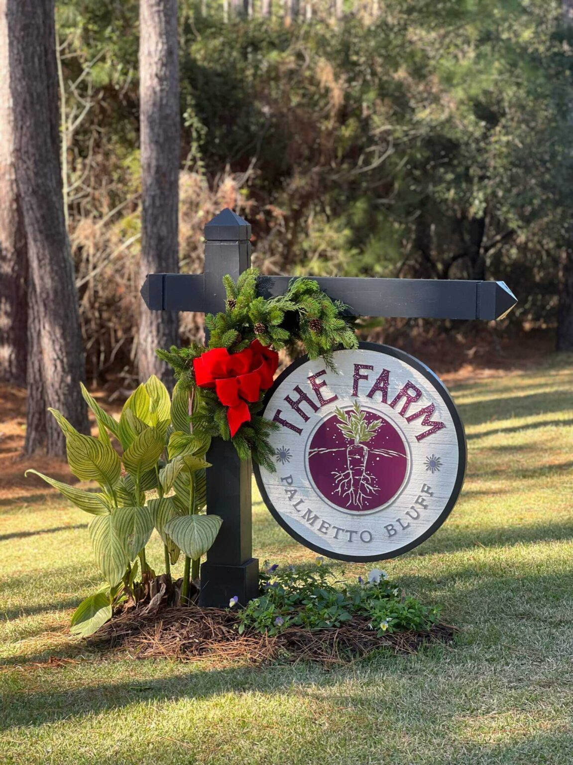 Fall Harvest at the Palmetto Bluff Farm - Palmetto Bluff
