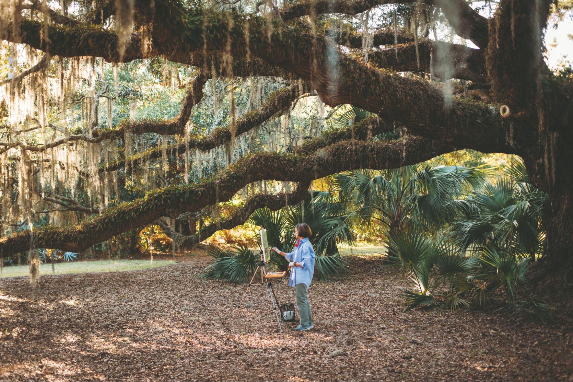 The Bluff - The Art and Wisdom of Trees - Palmetto Bluff