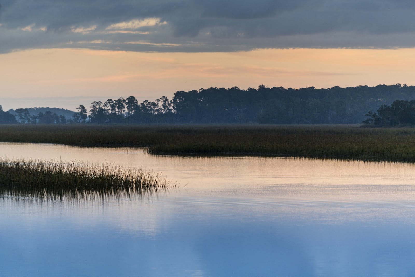 Moreland Forest Neighborhood Splotlight | Palmetto Bluff