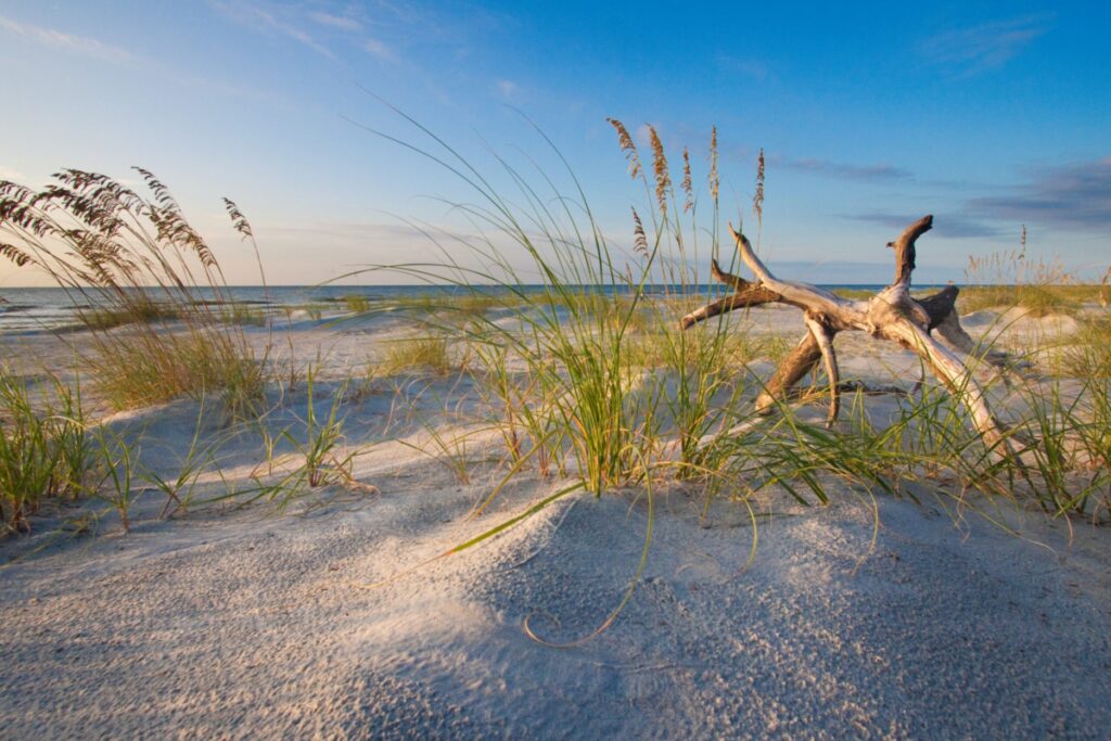 Your Guide to the Best Southern Beaches | Palmetto Bluff