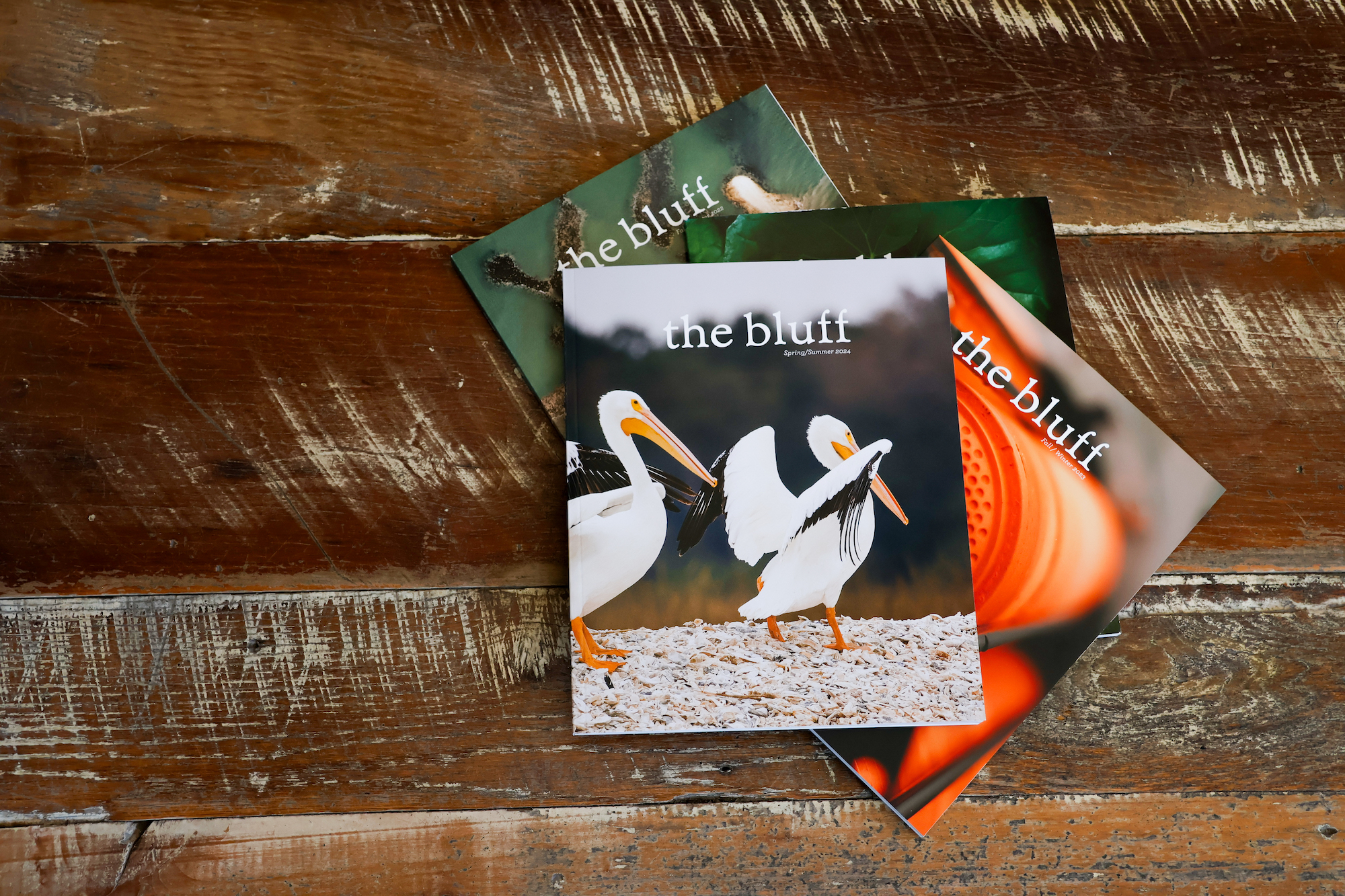 The Bluff Magazine - Palmetto Bluff