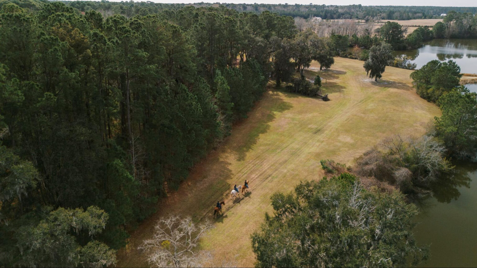 Saddle Up: Longfield Stables’ Trail Ride Program - Palmetto Bluff