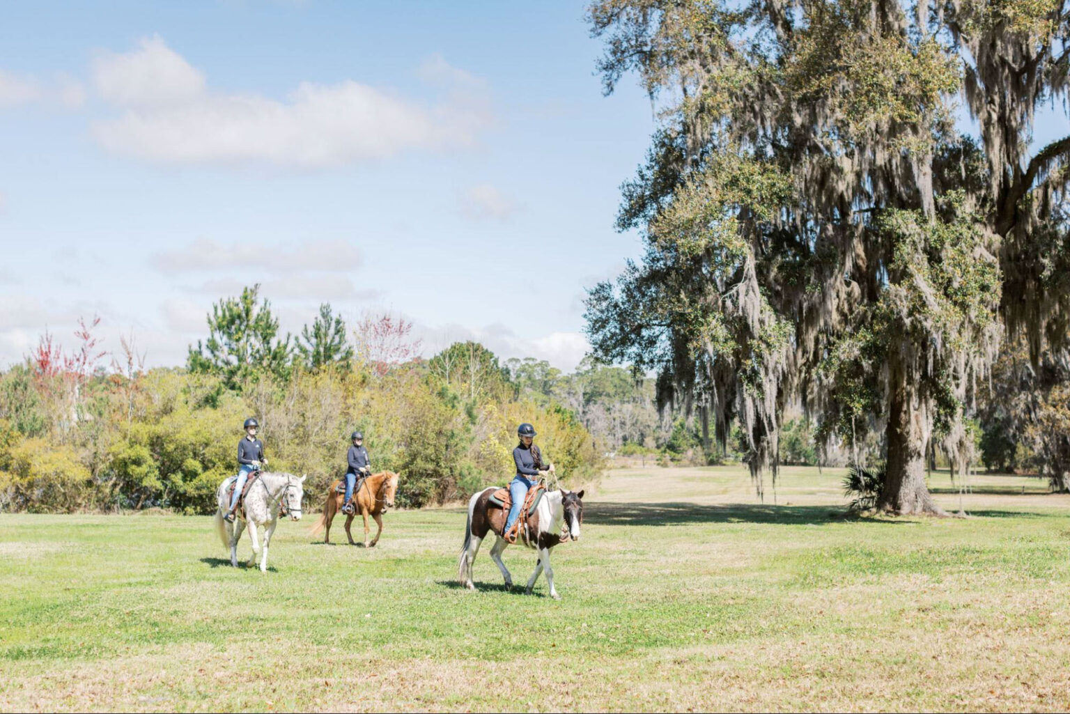 Saddle Up: Longfield Stables’ Trail Ride Program - Palmetto Bluff