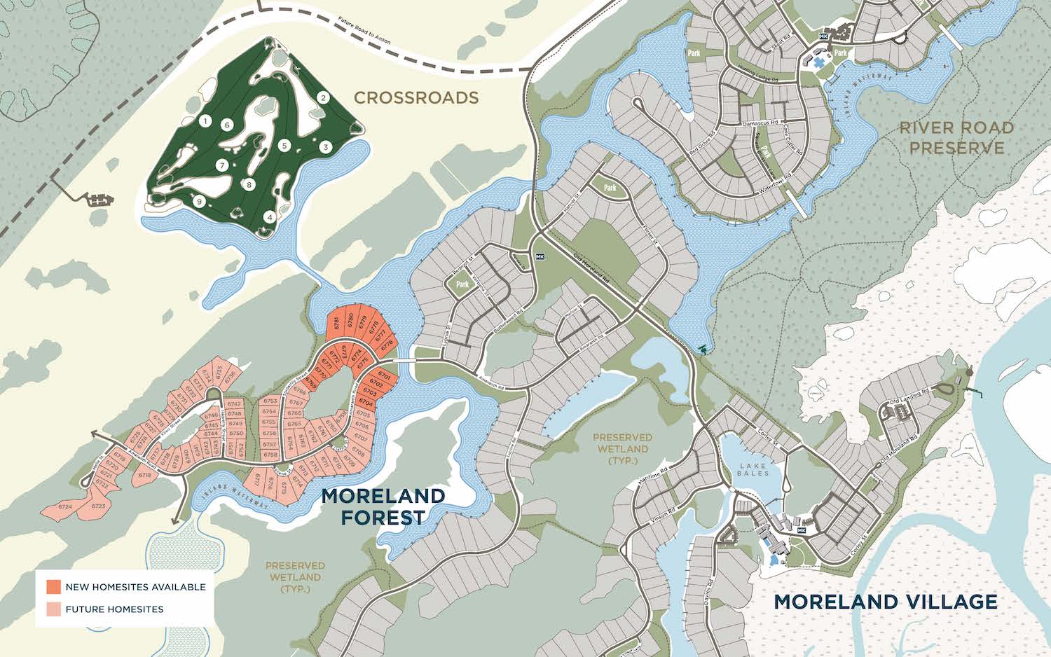 Moreland Forest - Palmetto Bluff