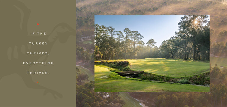 Introducing Anson Point at Palmetto Bluff: A New Legacy for Golf in the ...
